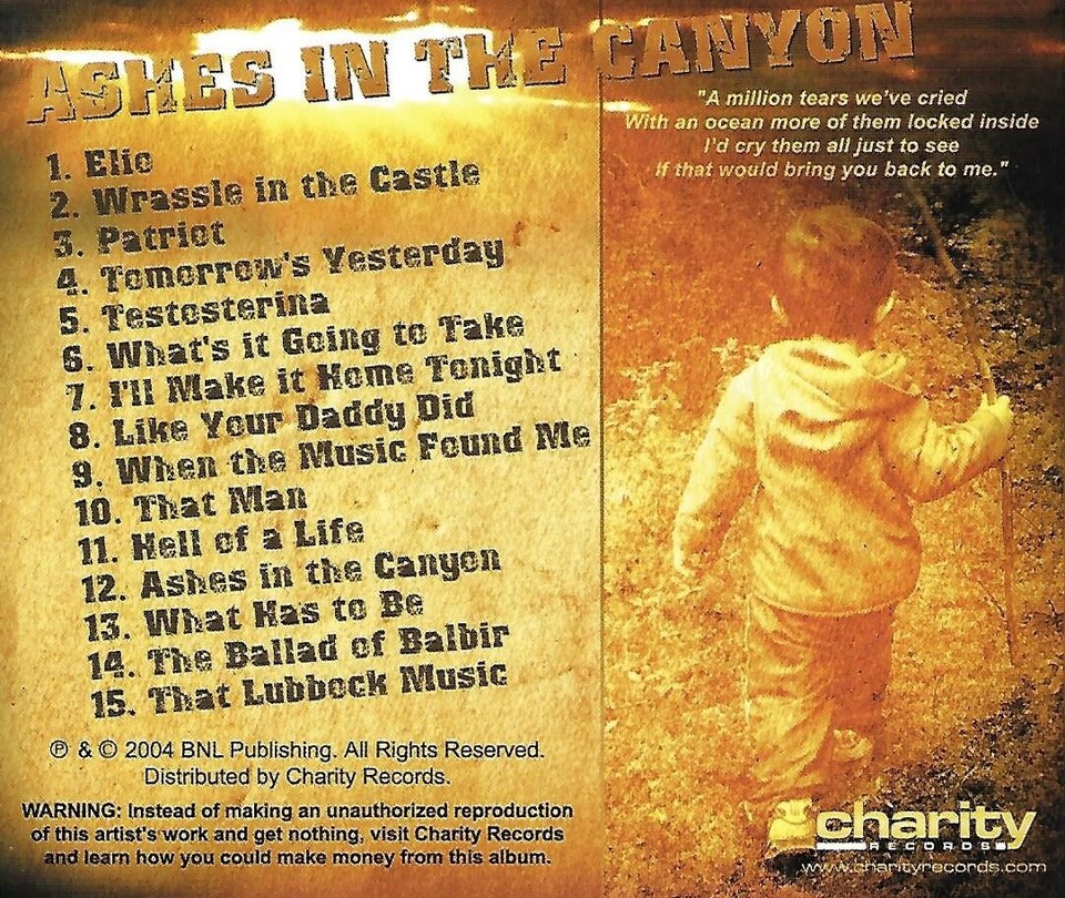Ashes in the Canyon by Ray Fikes (CD, 2004) | eBay