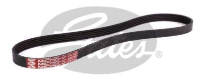 Gates V-Ribbed Belt 5PK1000 fits Holden Apollo JK 2.0 2.0 i | eBay ...
