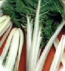 Swiss Chard Large White Ribbed 1,000 seeds | eBay