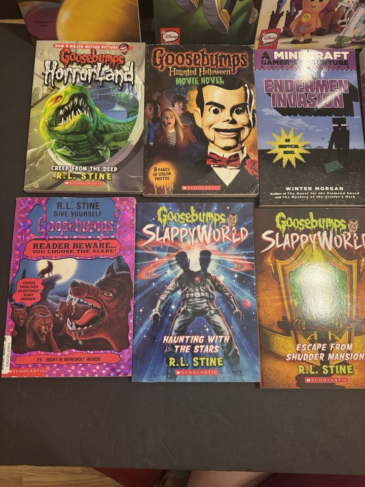 Kid Book Lot Collection - Goosebumps Minecraft Fortnite Comic Hardy ...