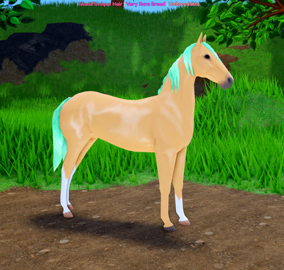 GLACIER GREEN Ankhal-Teke teke Island Unique hair IUH Wild Horse ...