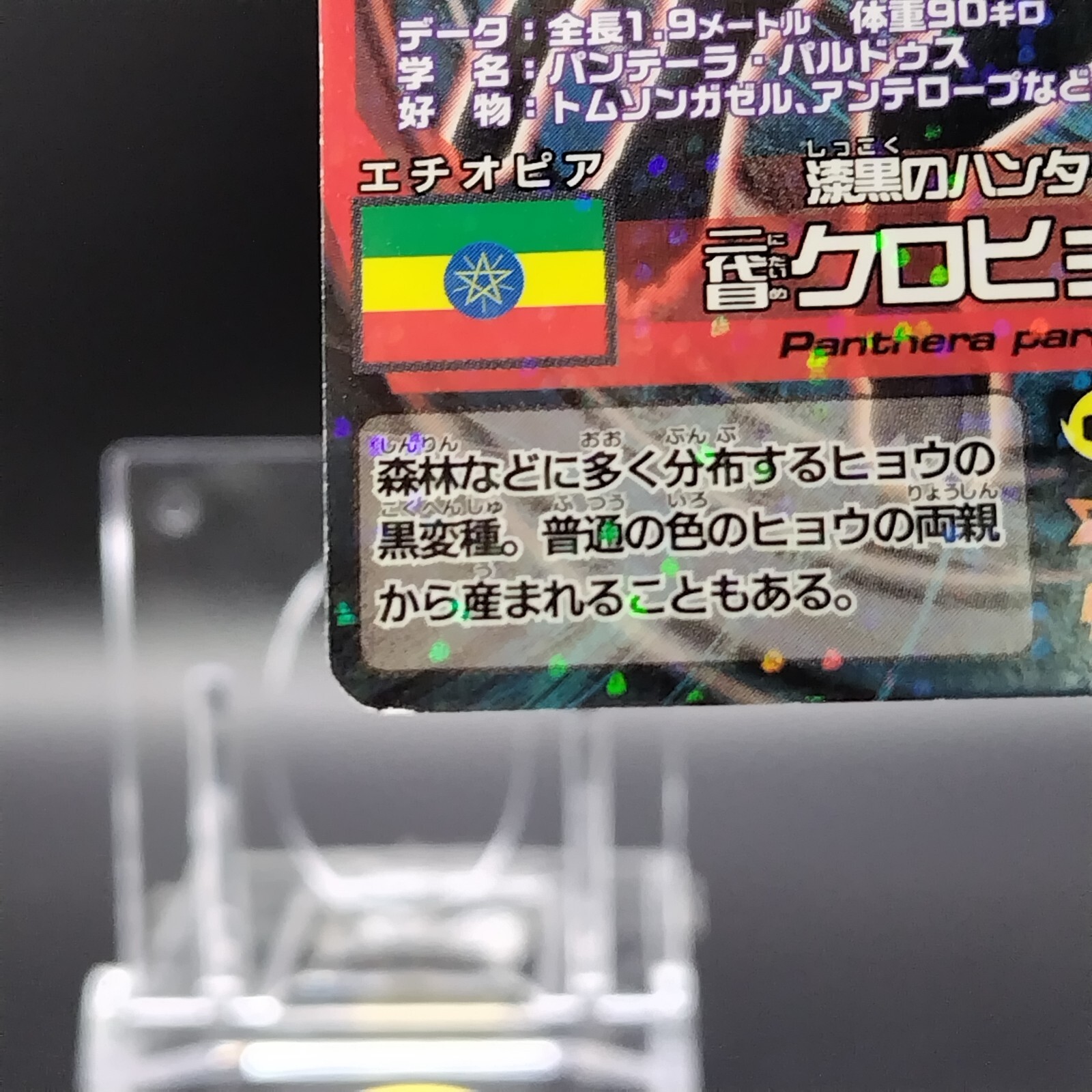 Panthera pardus Animal kaiser Holo Card Japan Japanese 2008 BANDAI A ...