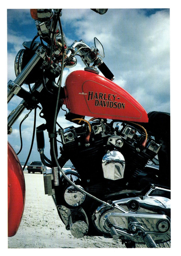 Harley Davidson Motorcycle Engine. Don Morley photo 1994. | eBay
