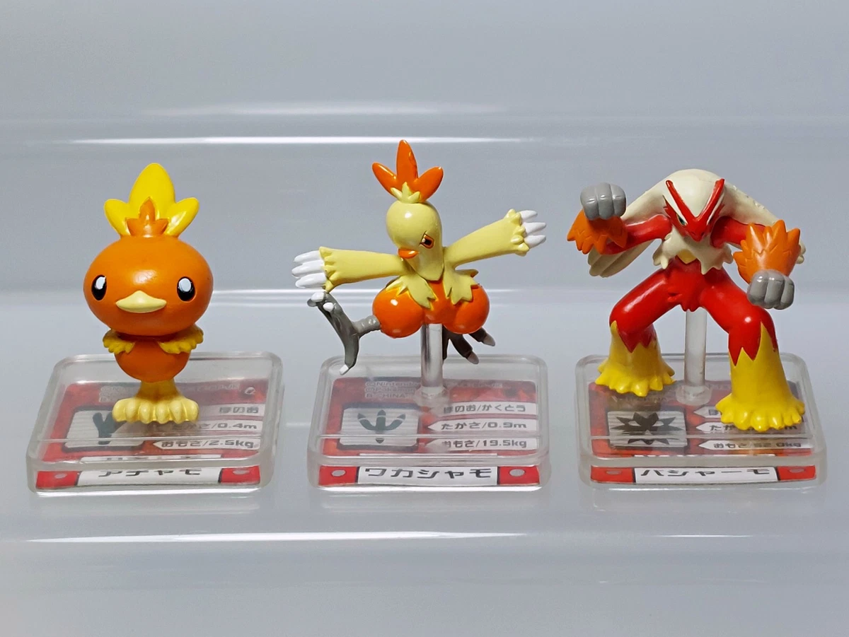 Combusken Pokemon