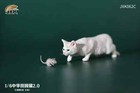 JXK 1/6 Chinese Garden Cat 2.0 Model Felis Catus Figure Animal Model ...