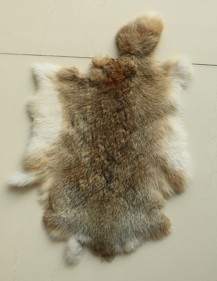 5pcs Genuine Rabbit Pelt Fur Skin Hides Tanned Real Bunny Leather For ...