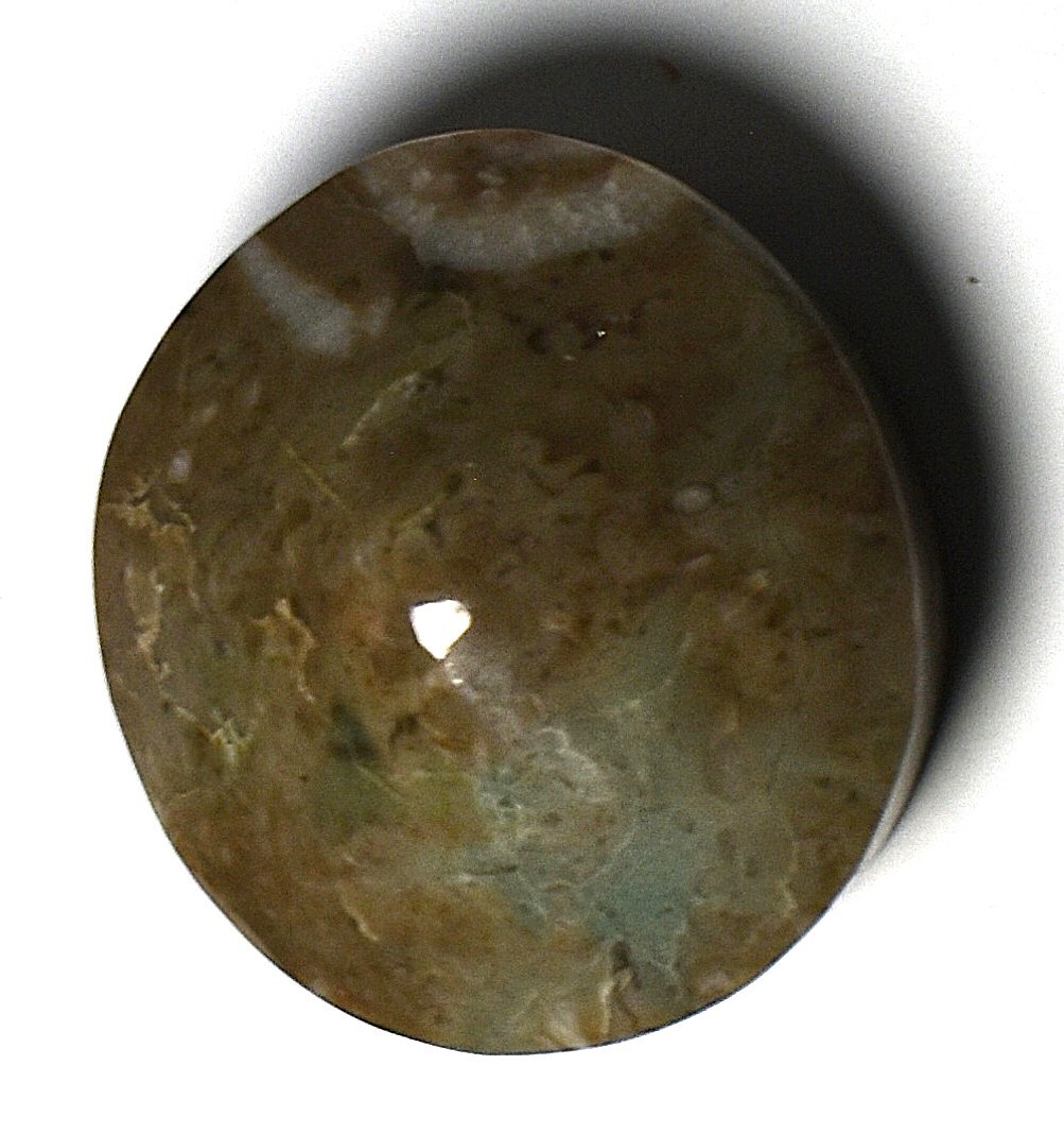 Natural Flowering Jade Blue Olive and Brown Setting/Display with ...