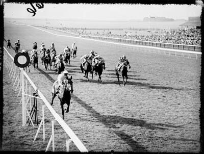 Major Rose ridden by D Smith passes the post 1967 Historic Old Photo ...
