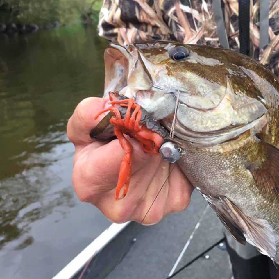 Tackle HD 4-Pk Hi-Def Craw Bass Lures, 3D Scanned 3" Soft Crawfish Bait ...