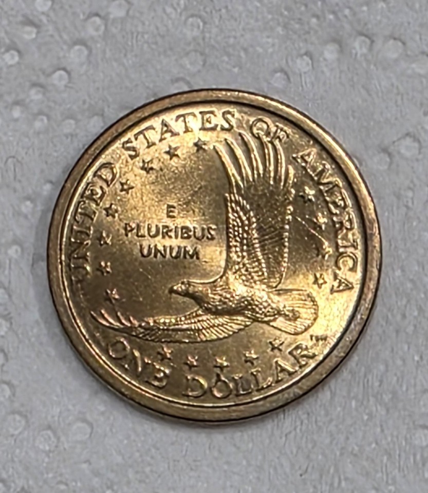 RARE SACAGAWEA DOLLAR COIN – MUST HAVE! | eBay