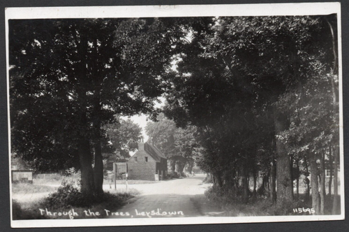 Postcard Leysdown on Sea on Isle of Sheppey Kent through the Trees 1935 ...
