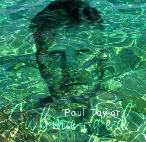Paul Taylor Submerged (CD) Album 5052571204627 | eBay