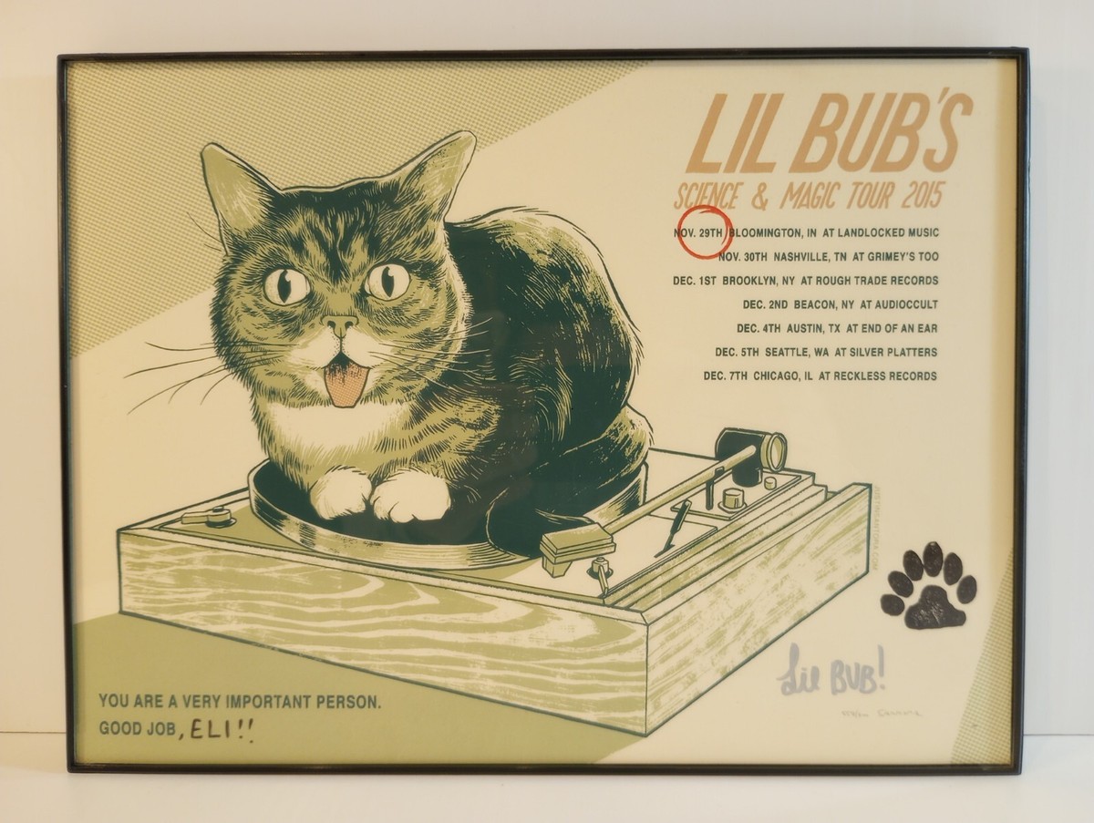 Lil Bub Art