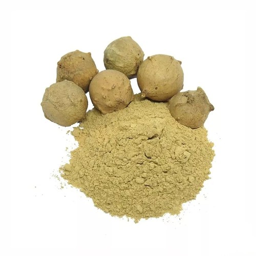 Majuphal Powder Quercus Infectoria Oak Gall Gallnuts Manjakani Gall ...