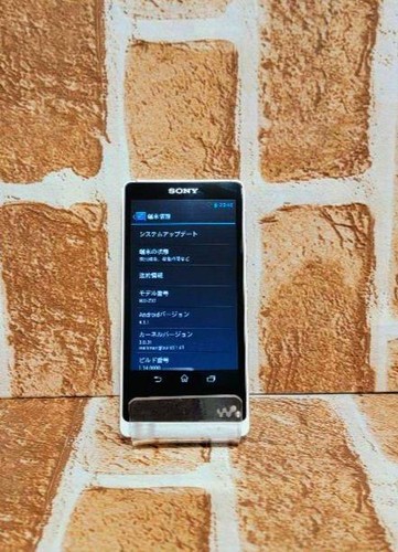 SONY NW-ZX1 Hi-Res walkman 128GB High Resolution Portable player MP3 ...