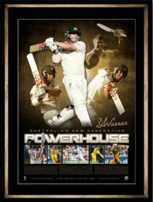 DAVID WARNER SIGNED FRAMED LIMITED EDITION POWERHOUSE OFFICIAL CRICKET ...