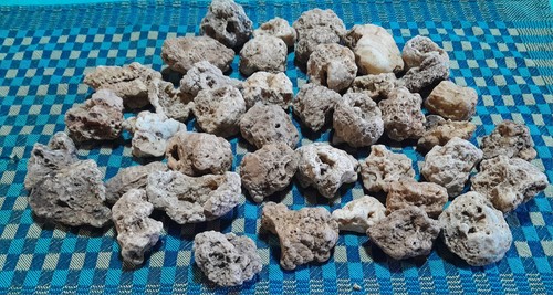 4 1/2 LBS (1 1/2"-2 1/2" L) TN Piney River Geodes Quartzite Rocks ...