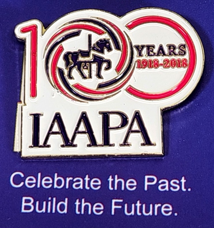 IAAPA 100 Years Pin - International Assoc. Of Amusement Parks ...