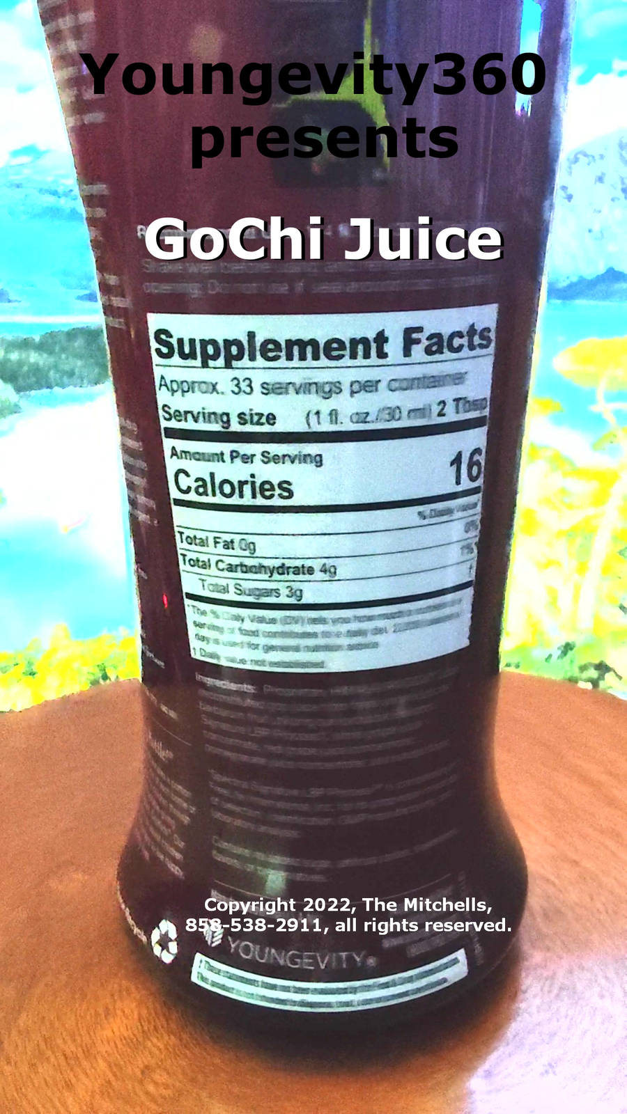 Youngevity Sandra GoChi Juice 4-Pak | eBay
