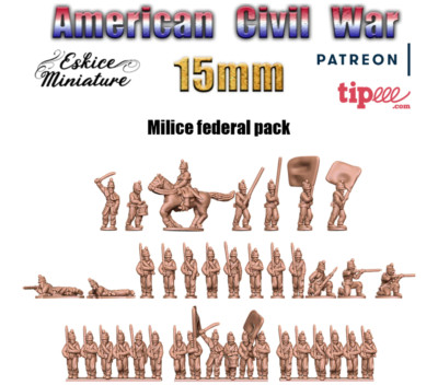 ACW Federal Militia Set (3D PRINTED) | eBay UK