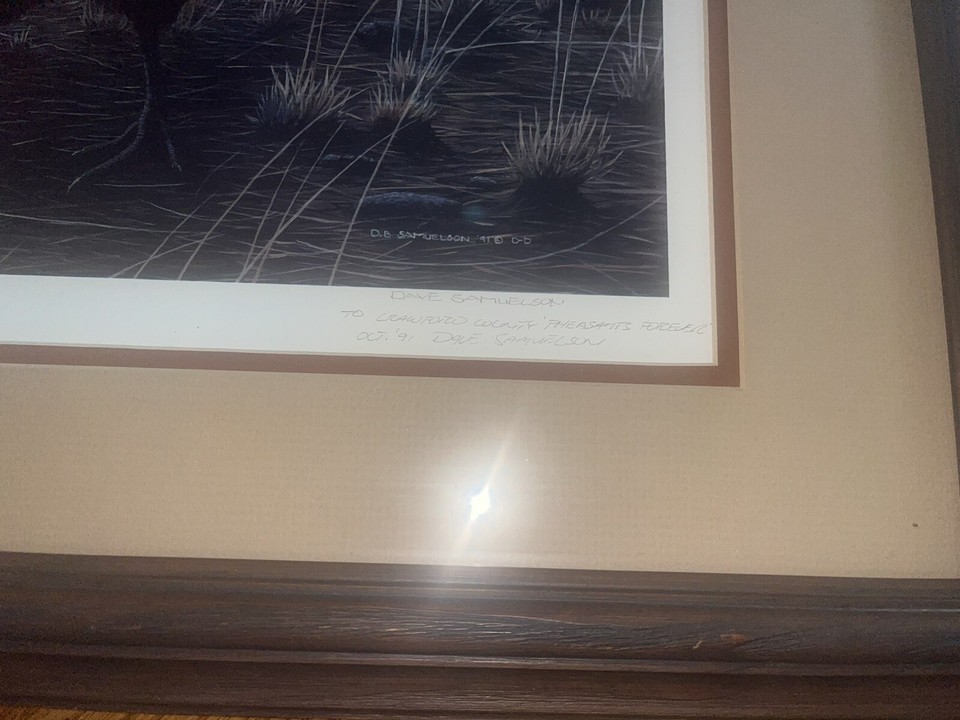 Dave Samuelson Limited Ed Signed Framed Print | eBay