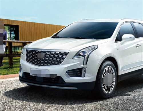 For Cadillac XT5 2016-2020 Silver Front Center Mesh Grille Grill Cover ...