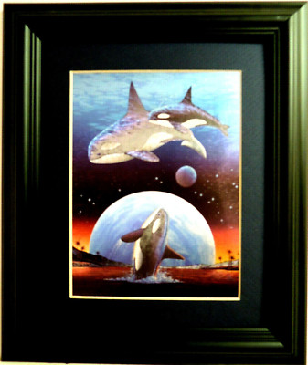 ORCA WHALE PICTURE SEALIFE ALAN METZ FOIL PRINT MATTED FRAMED 8X10 | eBay