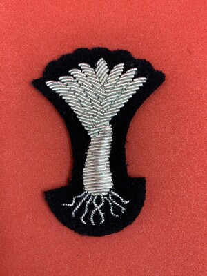 Welsh Guards Officers Embroidered Cap Badge In Silver Bullion On Black ...