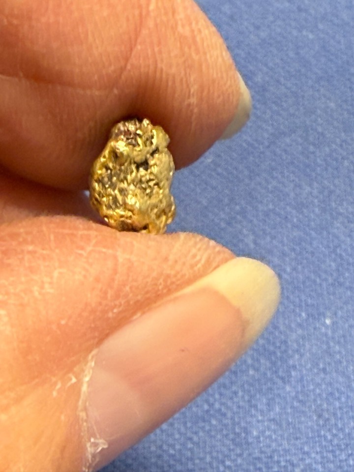 Natural Gold Nugget Specimen Bullion Placer So. Oregon Rogue River .89 ...