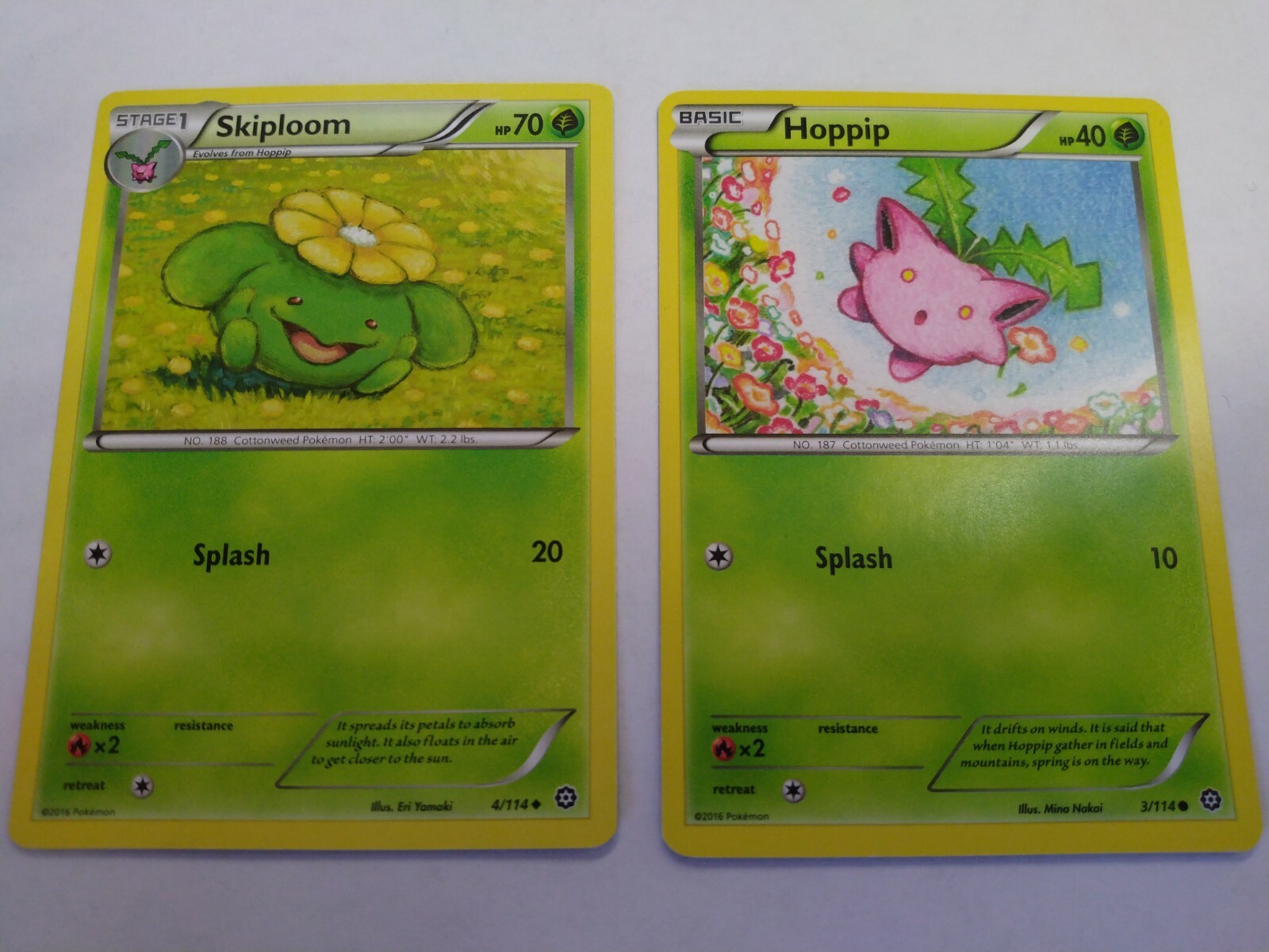 Hoppip Card