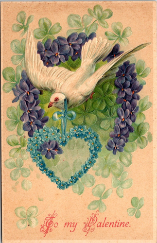 To My Valentine White Dove Forget Me Nots Valentine's Day Postcard B37 ...