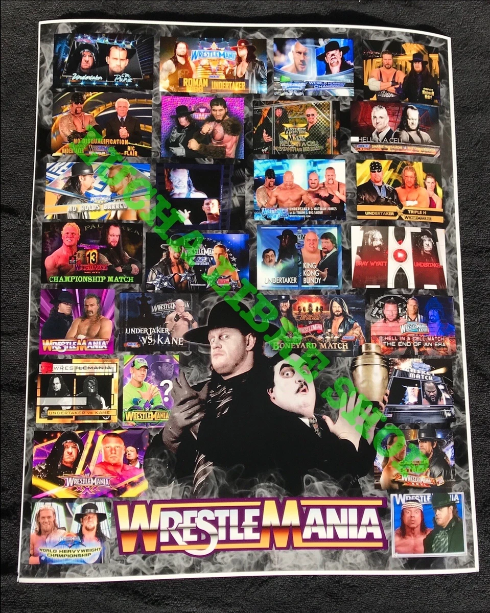 Wrestlemania 13 Poster