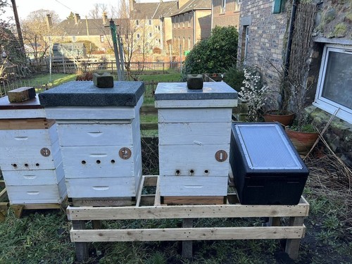 Honey Bee Colony Stands | eBay UK