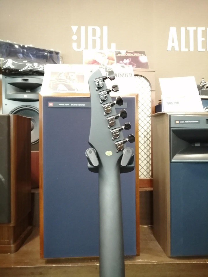 Enya Inspire Electric Guitar Built-in Amplifier Silver Used From Japan ...
