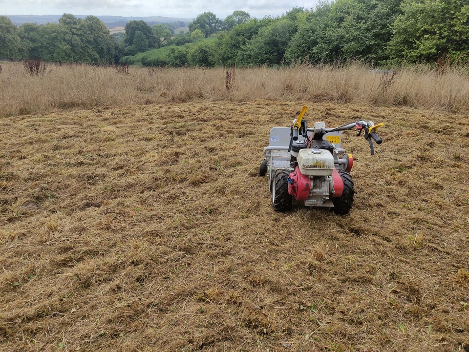 PEDESTRIAN FLAIL MOWER - PADDOCK MOWER - OLEO-MAC WB 65 - HONDA ENGINE ...