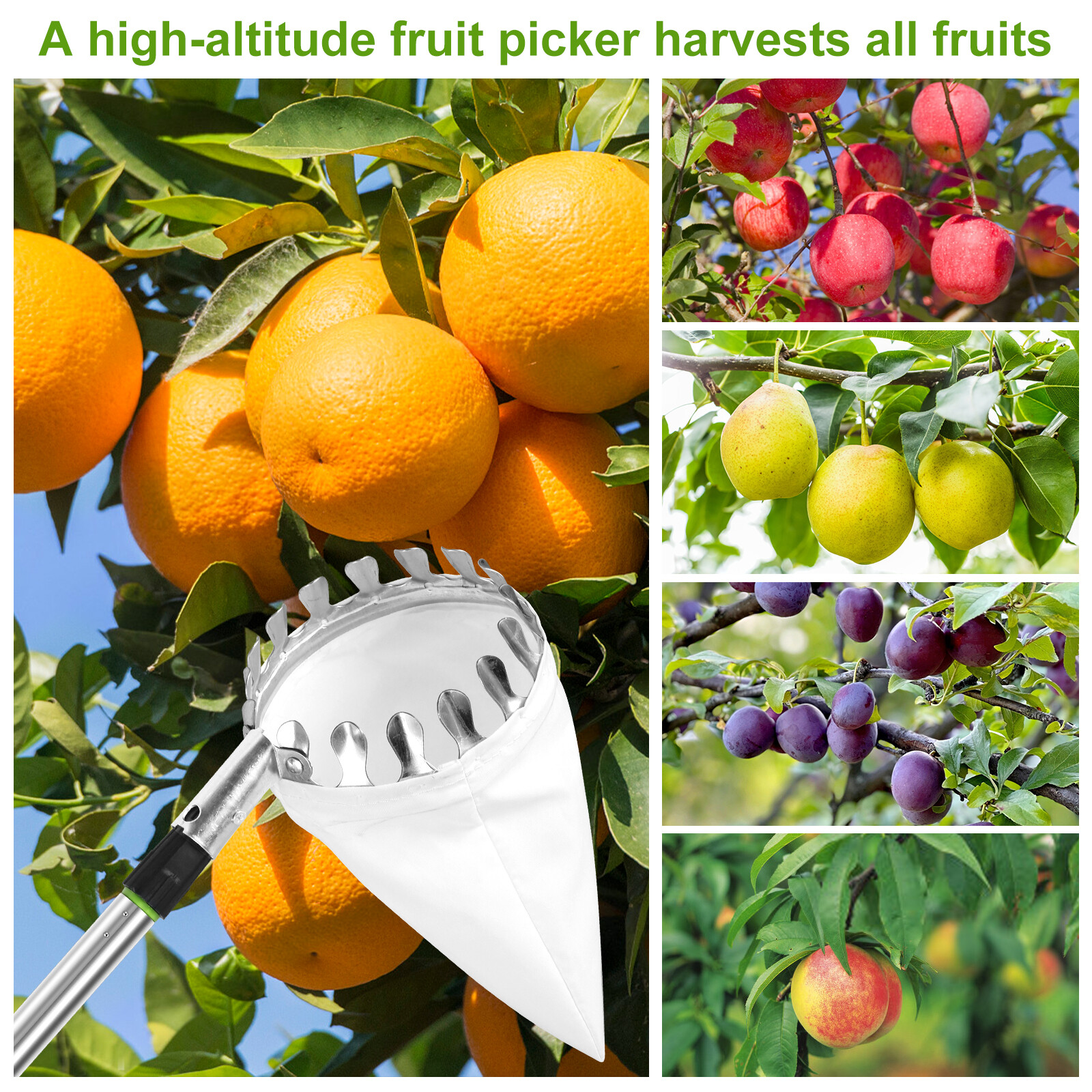 2.4m Pole Fruit Picker Picking Tool With Storage Bag Orange Tree ...