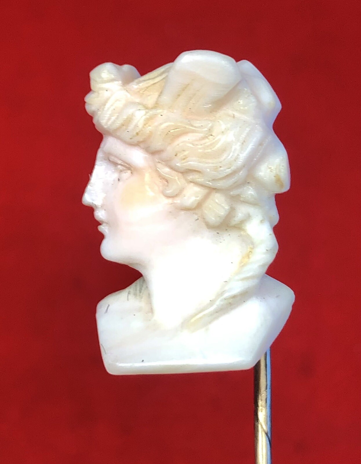 Antique Carved Coral Classical Female Bust Stick Pin - Gem