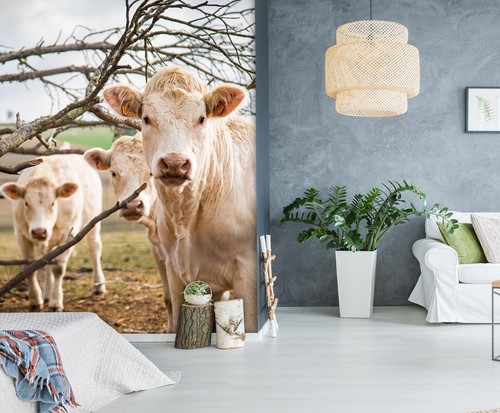 3D White Cow Branch O2200 Wallpaper Wall Murals Removable Wallpaper ...