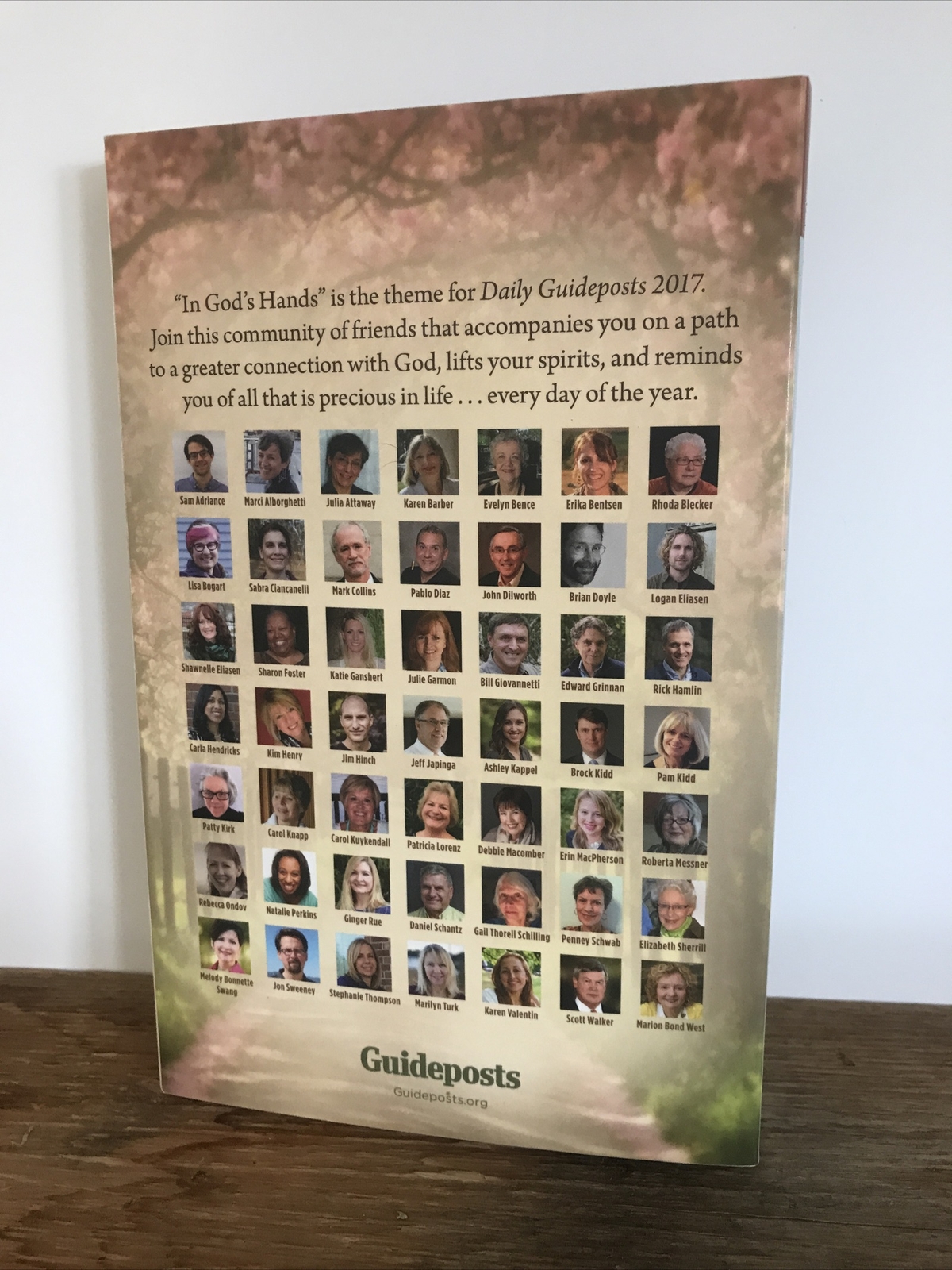 Daily Guideposts 2017: A Spirit-Lifting Devotional by Guideposts ...