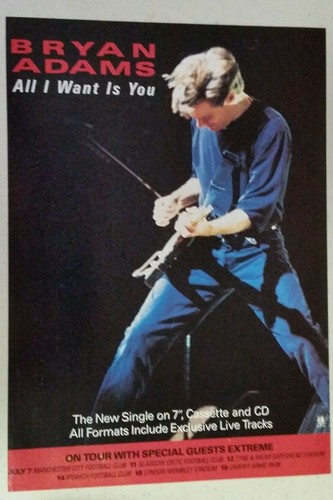 BRYAN ADAMS "All I Want is You" ~ Vintage Magazine PRINT AD htf 1992 | eBay