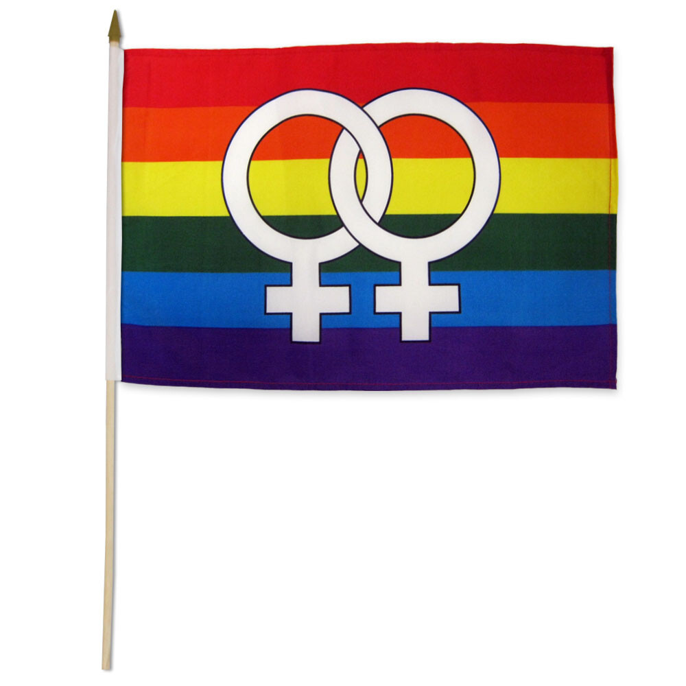 1 Dozen Double Venus Stick Flags 12x18in Handheld Pride Flag LGBT WLW ...