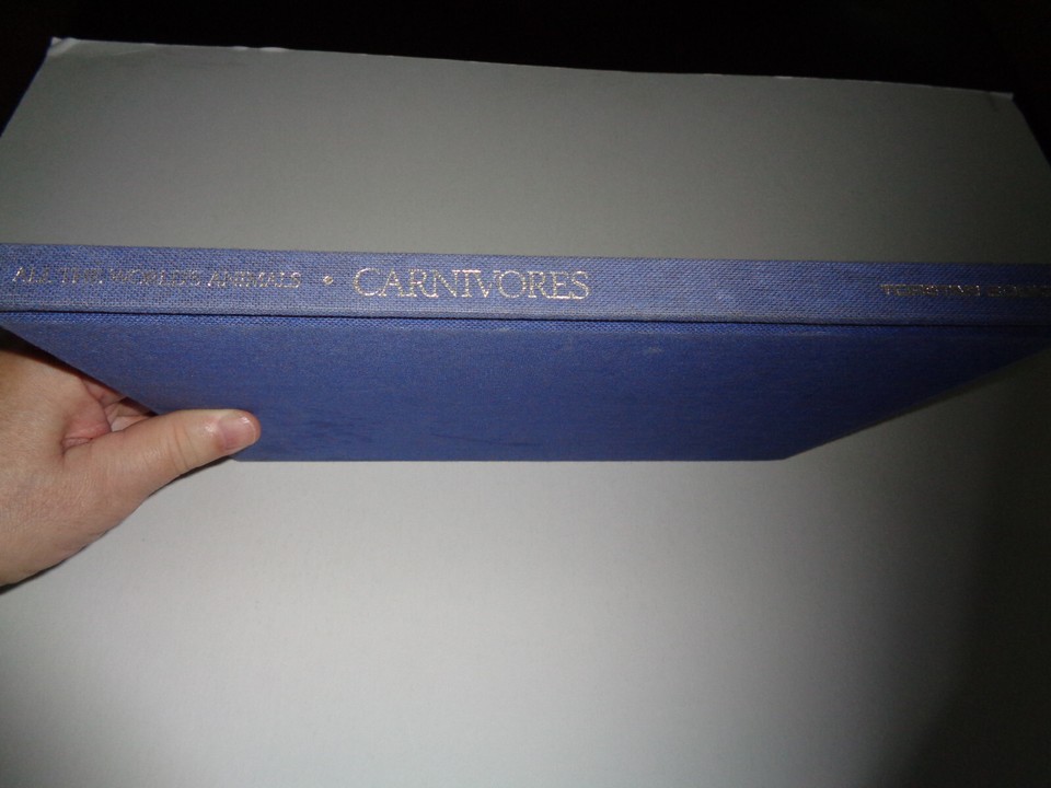 CARNIVORES ALL THE WORLD'S ANIMALS HB TORSTAR BOOKS 1984 VF+ LIONS ...