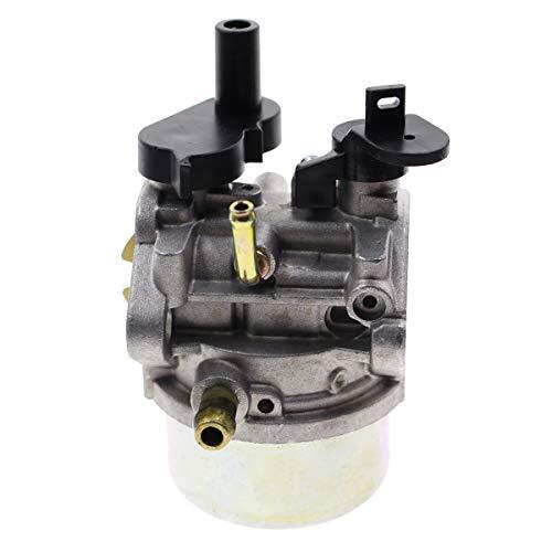 801396 Carburetor for Briggs & Stratton 801233 801255 Snowblower ...