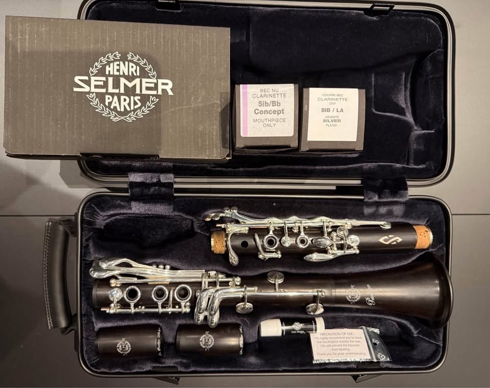 Selmer Privilege Evolution B Flat Clarinet | eBay