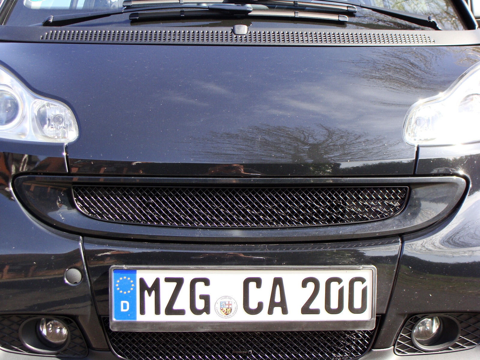 Carlsson Grill Insert Top Smart 451 Fortwo Coupe Convertible Stainless ...