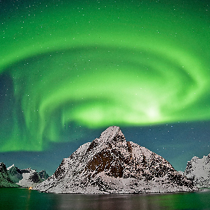 Sweet_Lizard_Music | eBay Stores