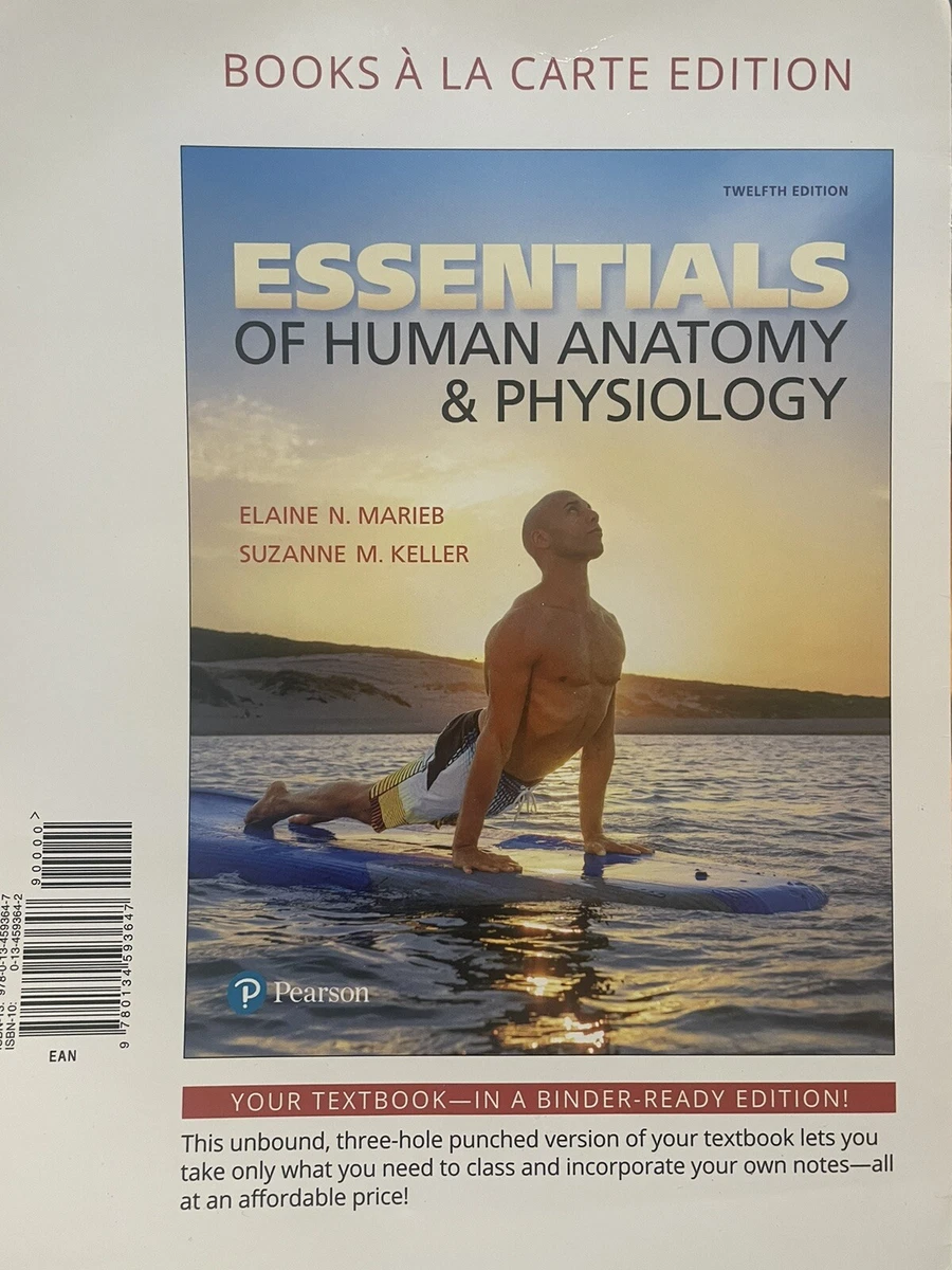 Anatomy And Physiology Textbook Pearson