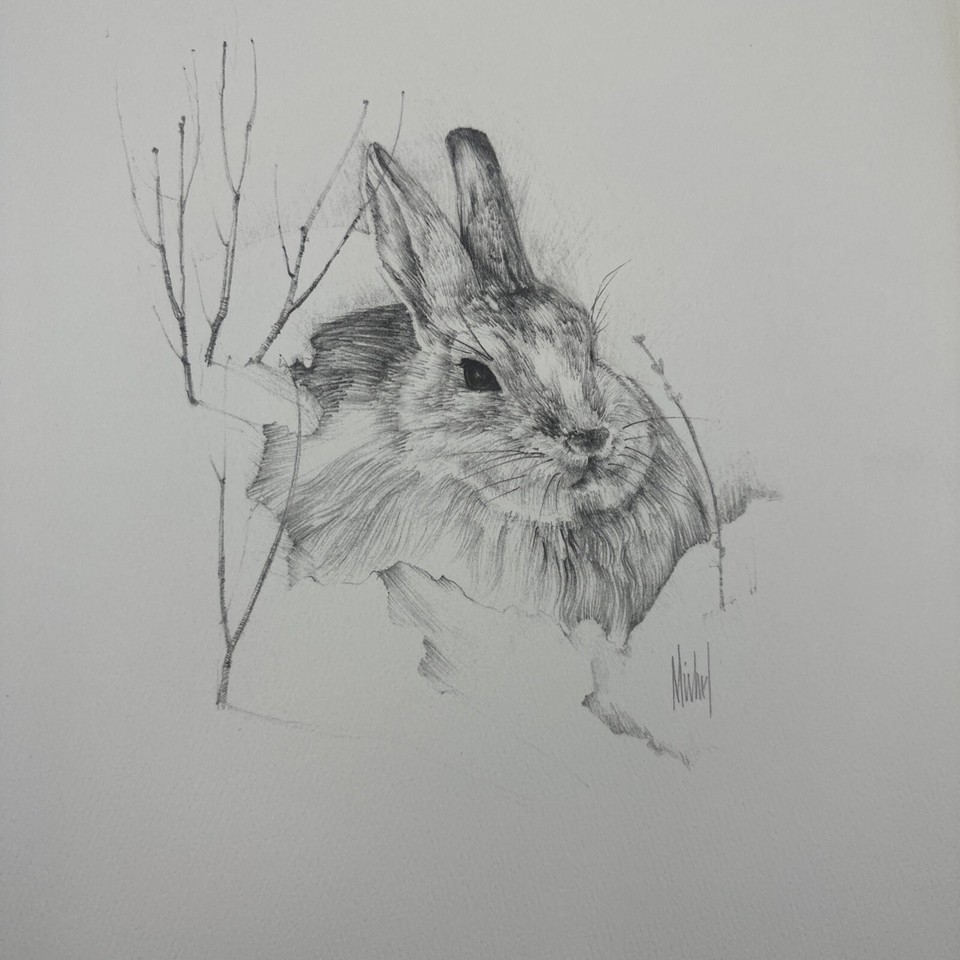 Rabbit Artwork Signed Wildlife Graphite Sketch Vintage MCM Nice | eBay
