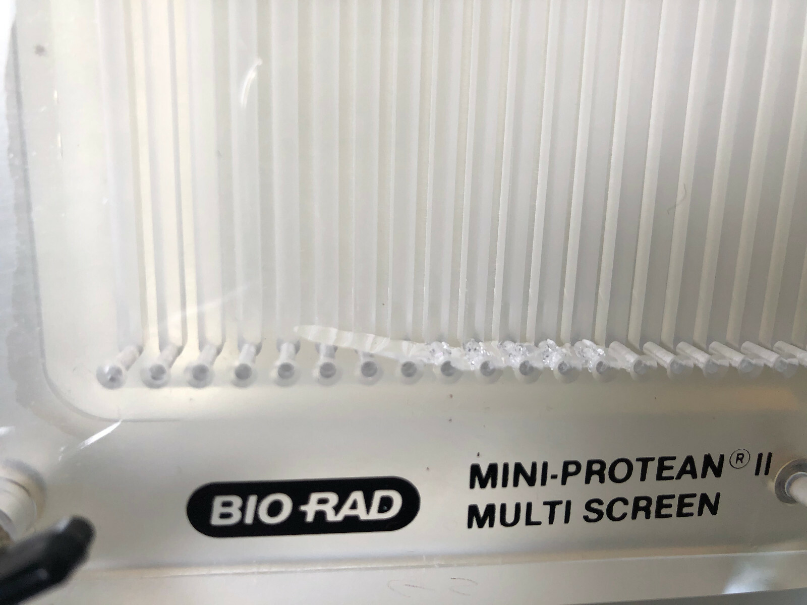 Mini-Protean II Multiscreen Apparatus #1704017 | eBay