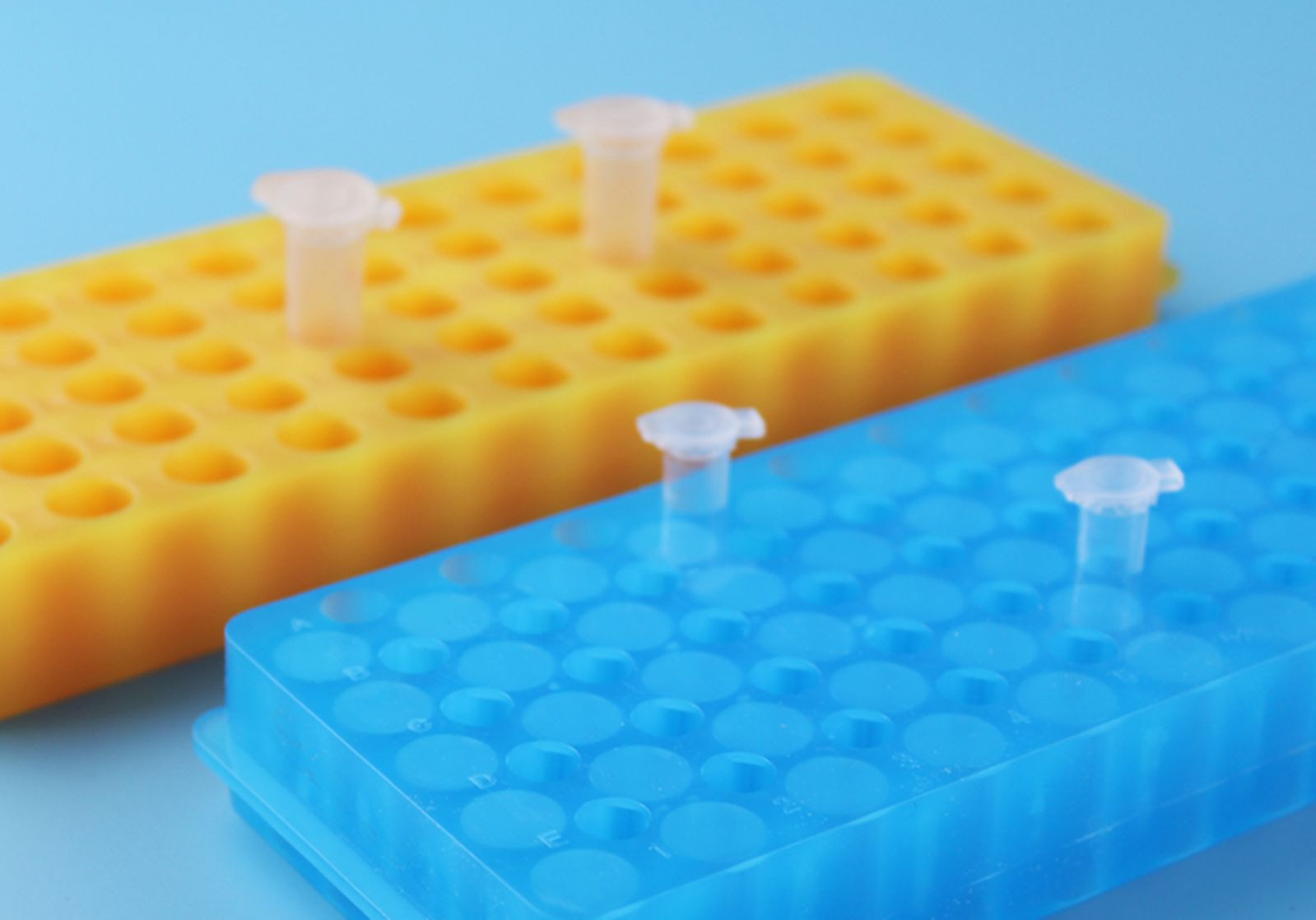 New 2pcs PCR pipe rack EP pipe rack Centrifuge tube rack | eBay